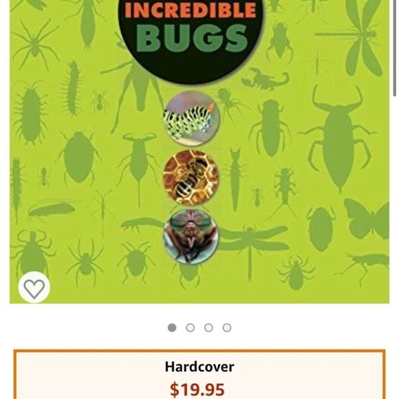 Other | Teacher Homeschool Superstats Incredible Bugs Book Number Sense ...